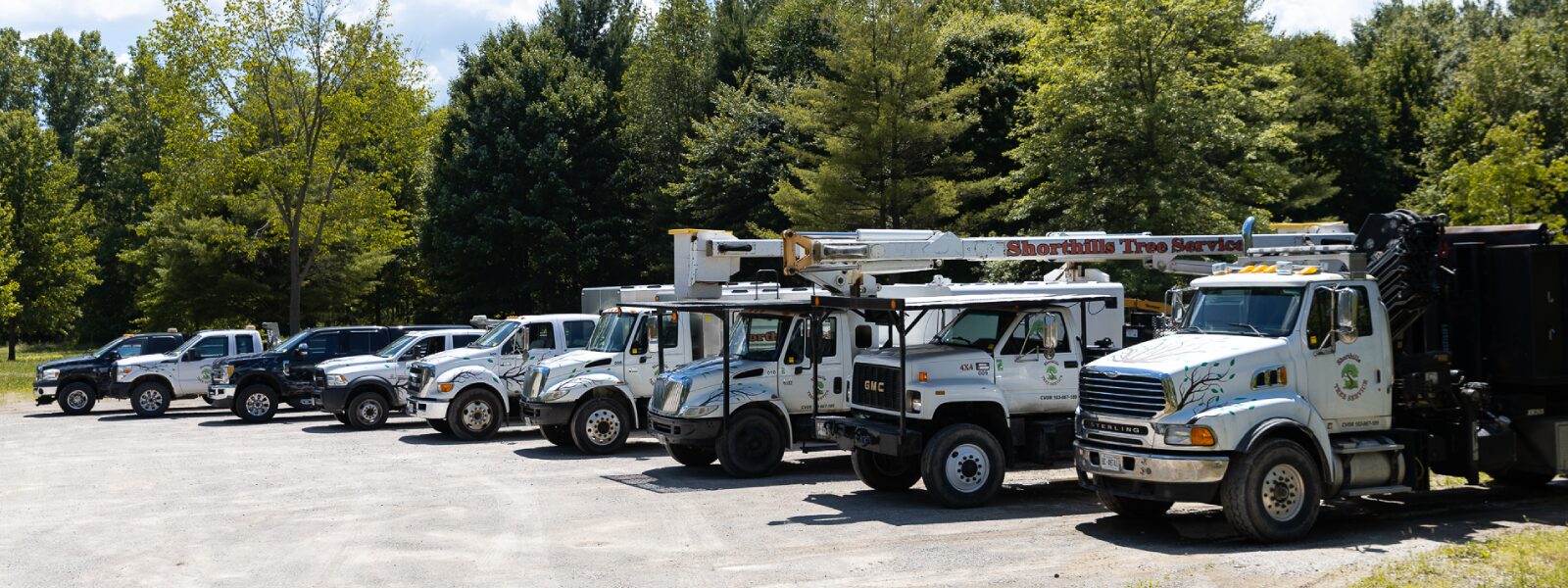 Contact Us | Shorthills Tree Service for Expert Tree Care